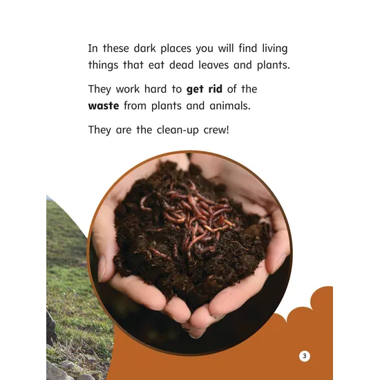 The Clean-up Crew - MTA Catalogue