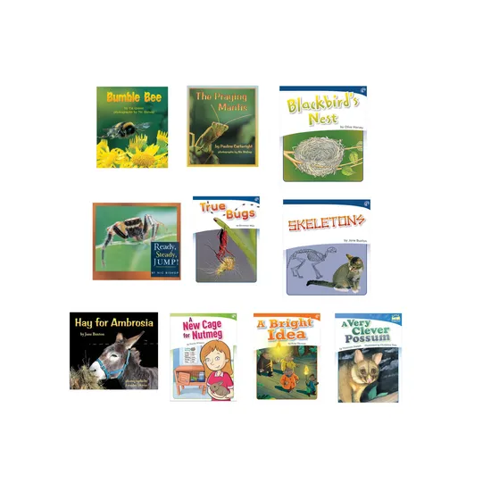 Year 1 Animals & Insects Focused Books - MTA Catalogue