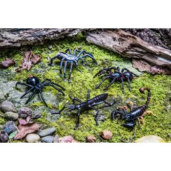Australian Insect & Spider Set - 5 Pieces