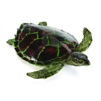 Olive Ridley Sea Turtle - 45cm