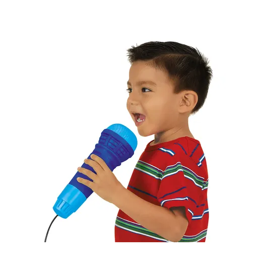 Echo Microphone