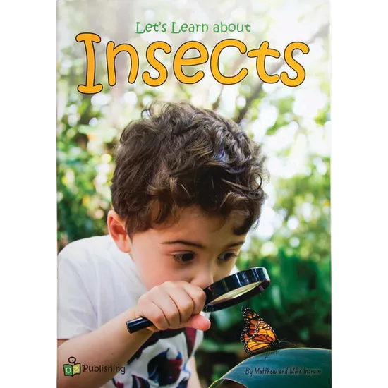 Let's Learn About Insects Big Book