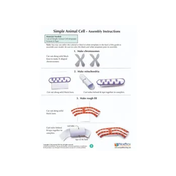 Simple Animal Cell Cell | Definition, Types, Functions, Diagram,