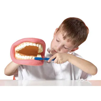 Giant Teeth Demo Model