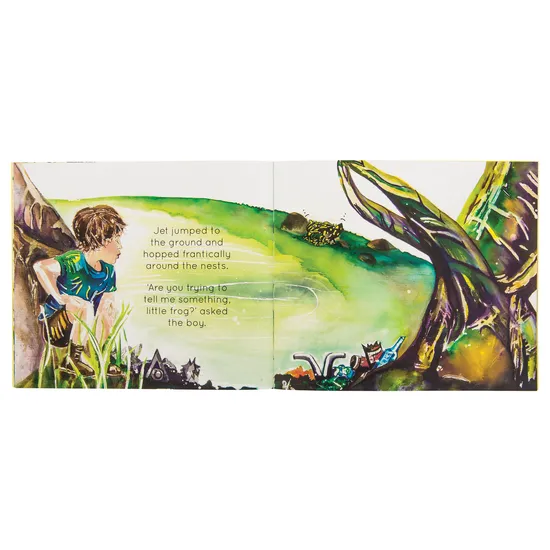 Little Corroboree Frog