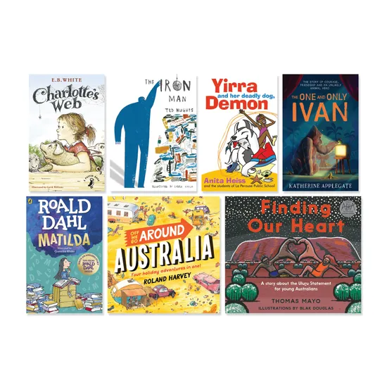 Year 3 Ochre Novel Studies Book Pack