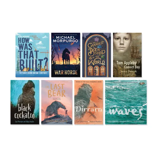 Year 5 Ochre Novel Studies Book Pack