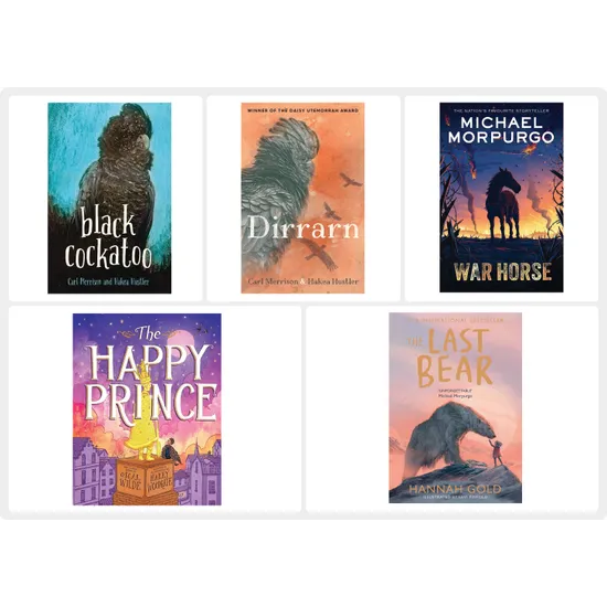 Year 5 Novel Study Book Pack