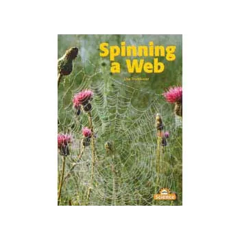 Spinning A Web Big Book