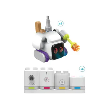 Botzees Mini & Connect Class Kit