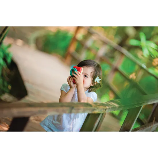 PlanToys - My First Camera