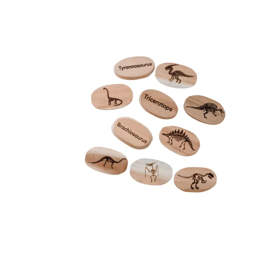 Dinosaur Stones