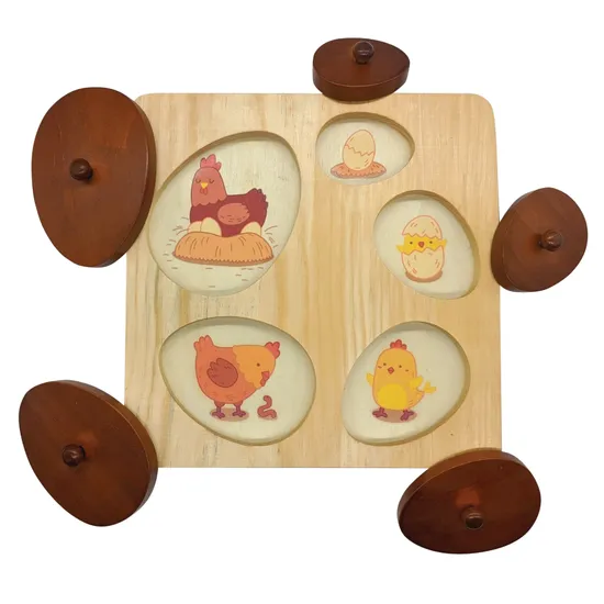 Hen Life Cycle Puzzle