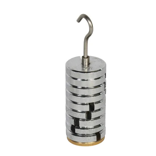 Slotted Weight Set of 9 x 100g with 100g Carrier