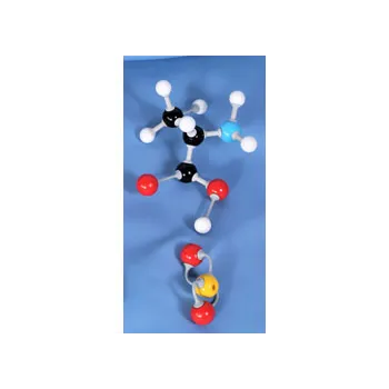 MolecModels3D - Organic Stereo Chemistry Set