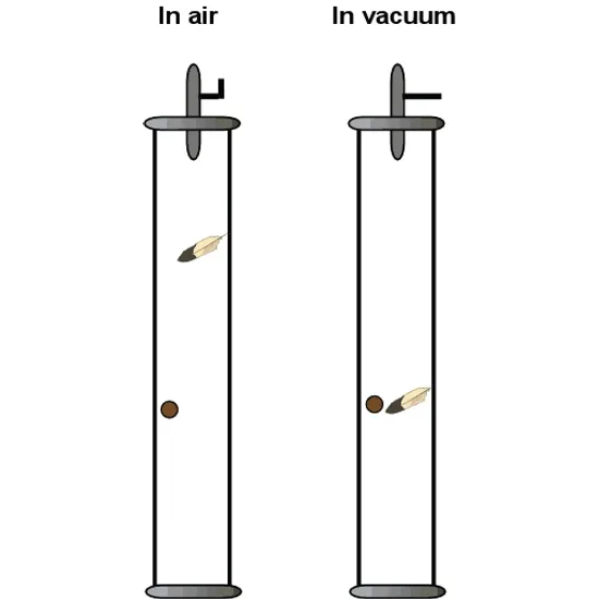 Free Fall Tube - Guinea & Feather - Gravity Demo - MTA Catalogue