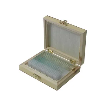 Slide Set - Biology Basic - Set of 25