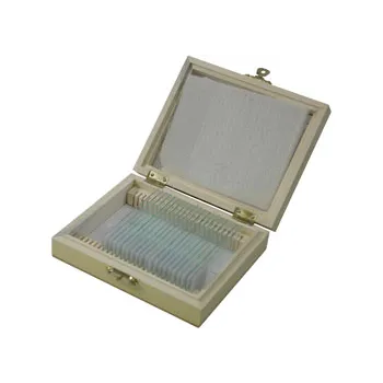 Slide Set - Protozoa & Algae - Set of 20