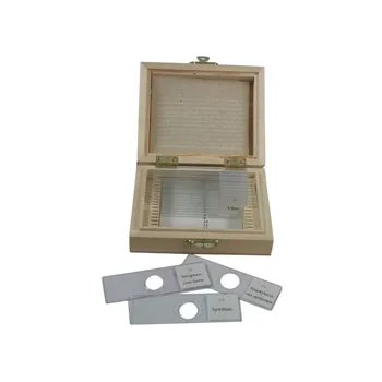 Slide Set - Mixed Bacteria - Set of 12