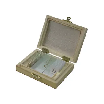 Slide Set - Insect Anatomy - Set of 9