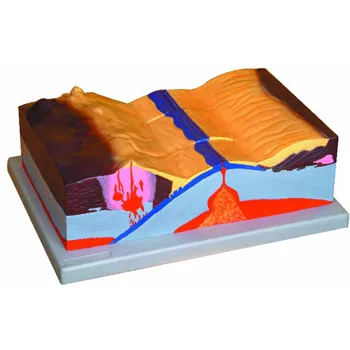 Model - Tectonic Plate