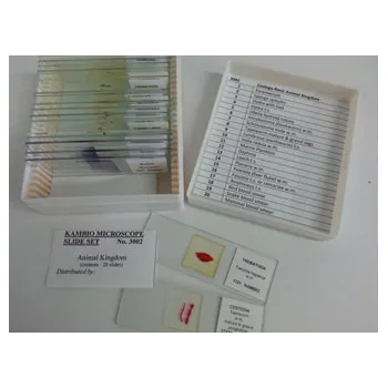 Slide Set - Zoology Basic Animal Kingdom