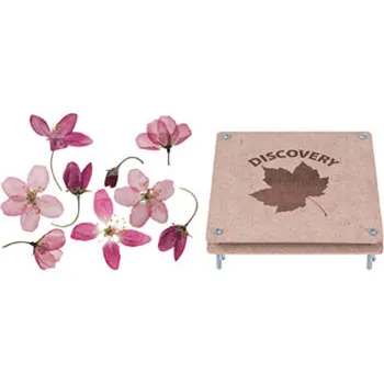 Wooden Flower Press with Metal Wingnut Screws