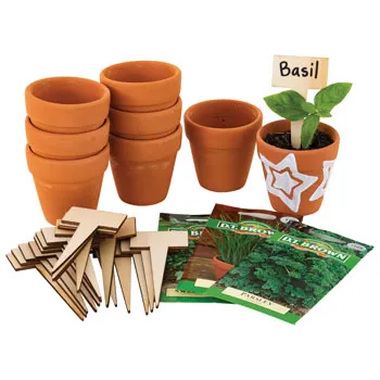 Garden Grow Craft - Kit of 20
