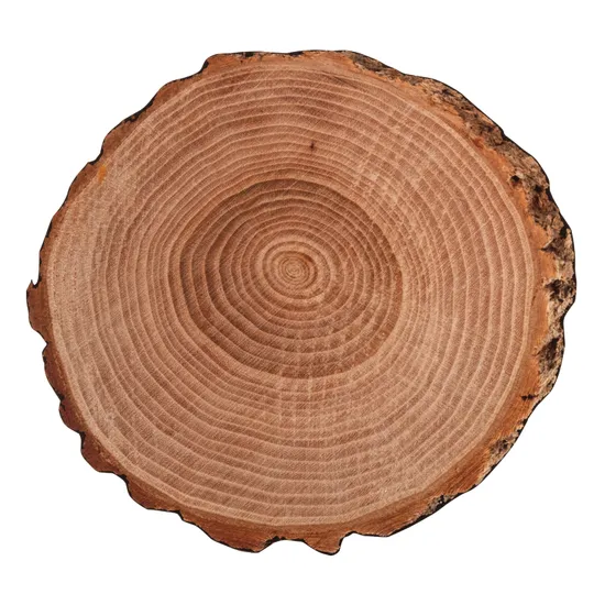 Extra Large Wooden Log Floor Mat - 150cm - MTA Catalogue