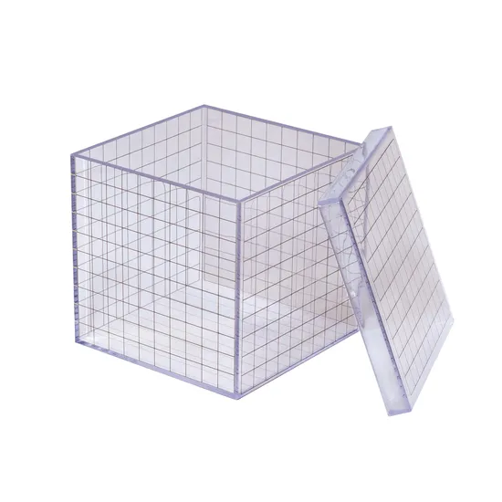 Teachables 3D Grid Cube
