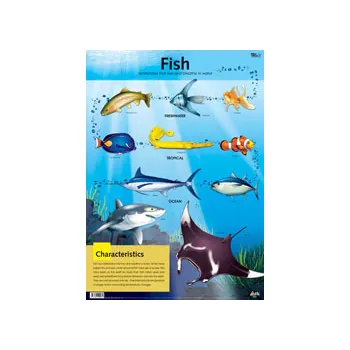 Fish Poster