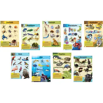 All About Animals Poster Pack