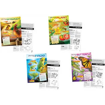 Life Cycle Poster Kit