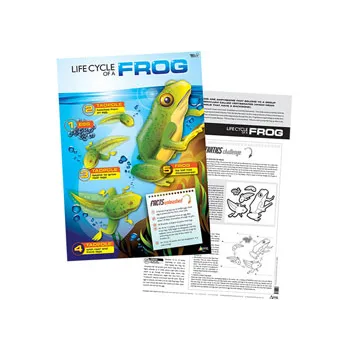 Life Cycle of a Frog Poster