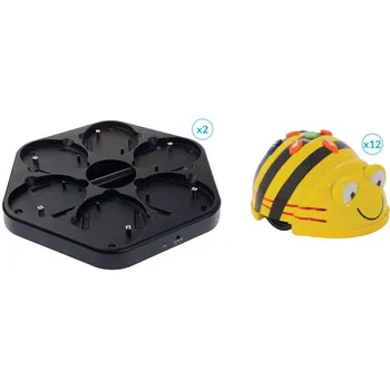 Rechargeable Double Bee-Bot Swarm