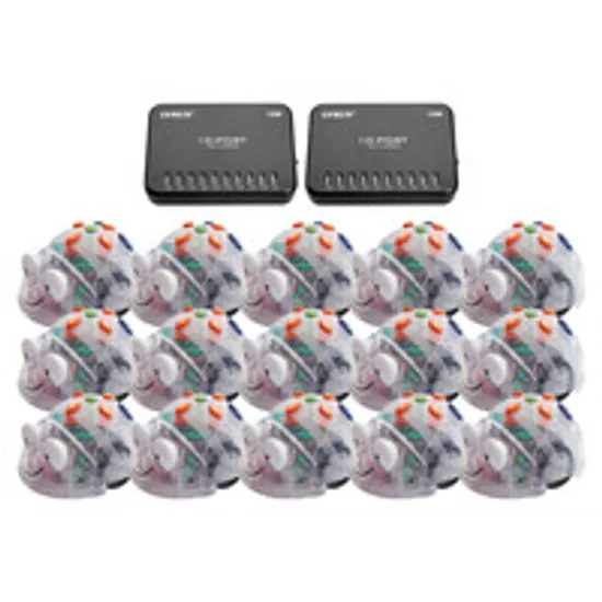 Blue-Bot - Set of 15 & Two 10-Port Charger