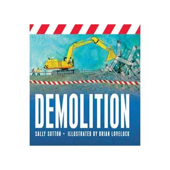Demolition Book Paperback