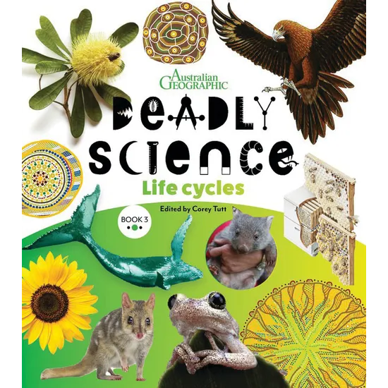 Deadly Science - Life Cycles - MTA Catalogue