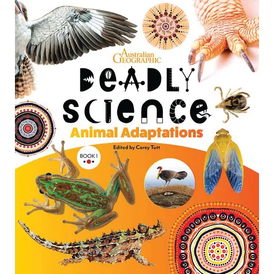 Unique Animals With Different Adaptations Plant And Animal Adaptation
