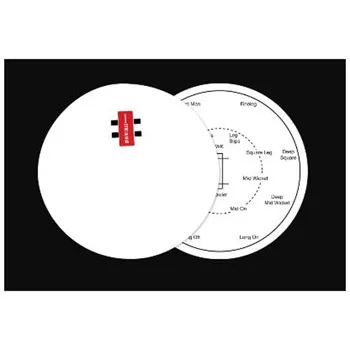 Gray Nicolls Fielding Disc