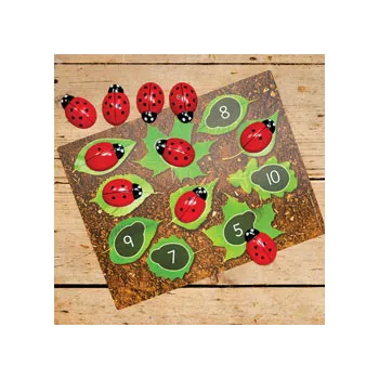 Ladybug Counters & Activity Cards Set