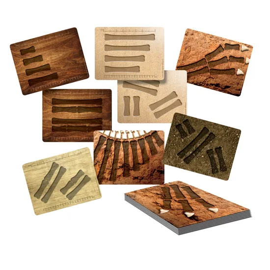 Dinosaur Bones Match and Measure Activity Cards