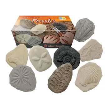 Play & Explore Fossils Set of 8