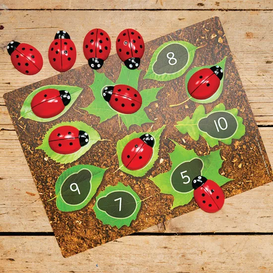 Ladybirds Early Number Cards – Counting & Recognition Set
